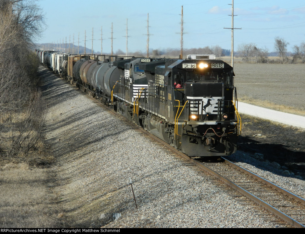Norfolk Southern Elephant Style